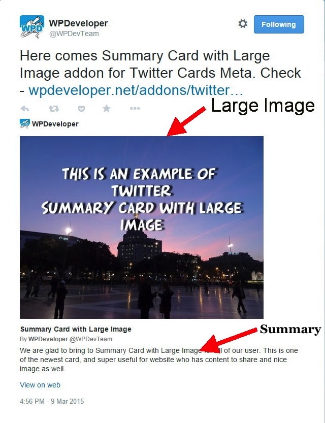 Twitter Cards Meta Setup - WPDeveloper