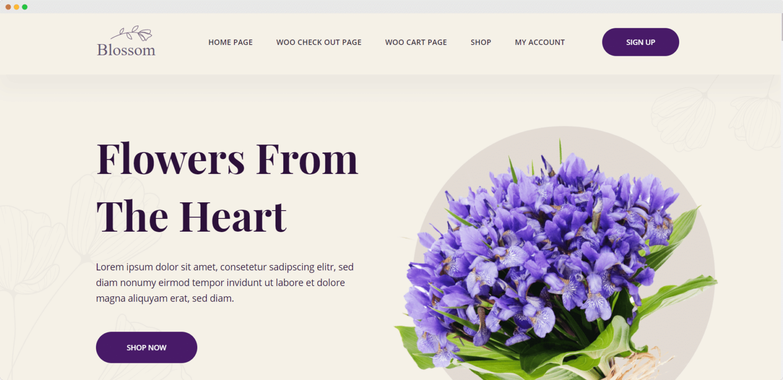 Guide: How To Install Template Kits In WordPress For FREE In 2026 ...