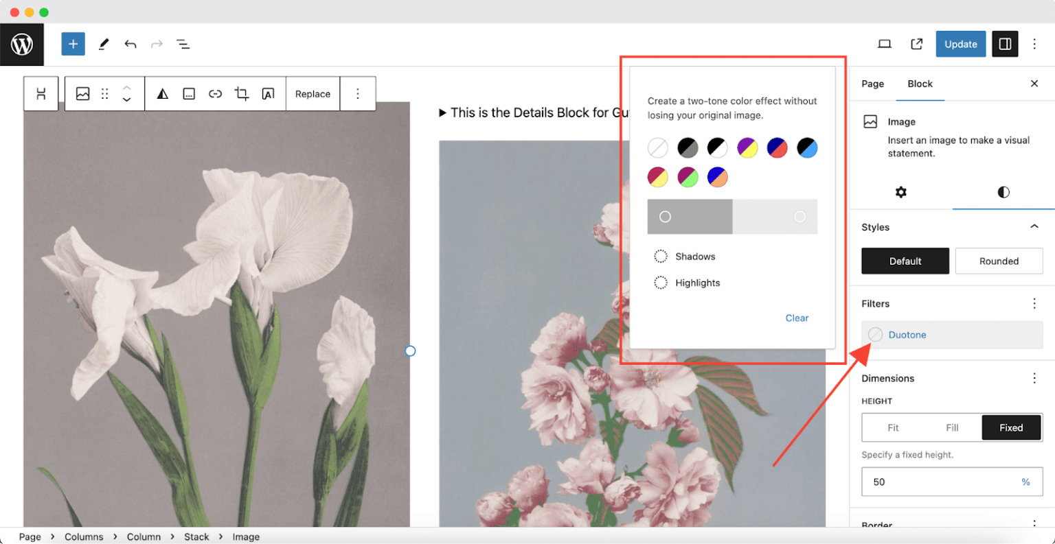 What's New In WordPress 6.3: Improved Site Editor, New Blocks & More! - WPDeveloper